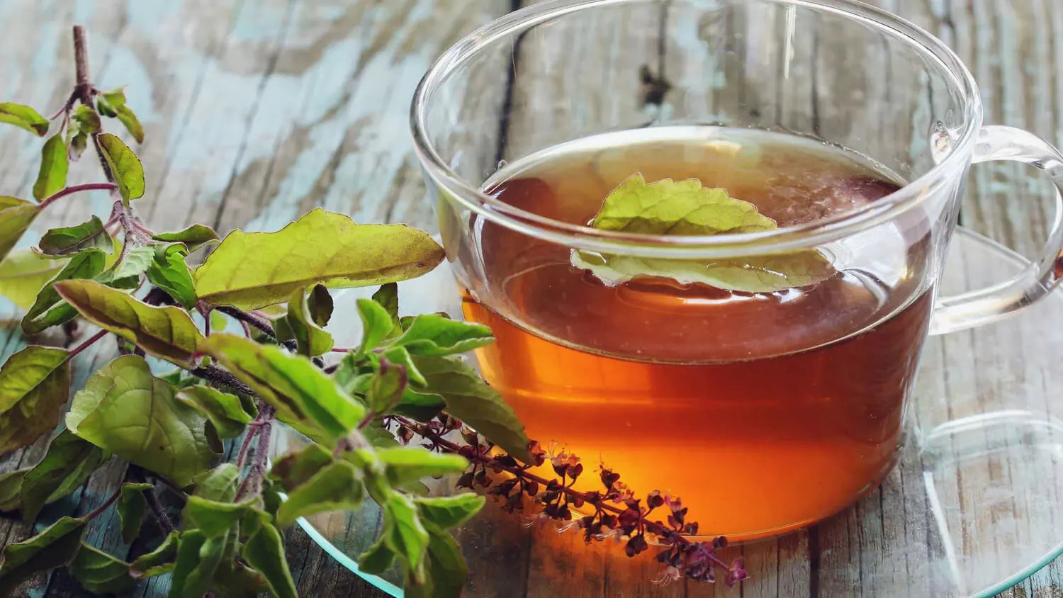 Detoks Çayı Nedir, Faydaları ve Zararları – OOLAI